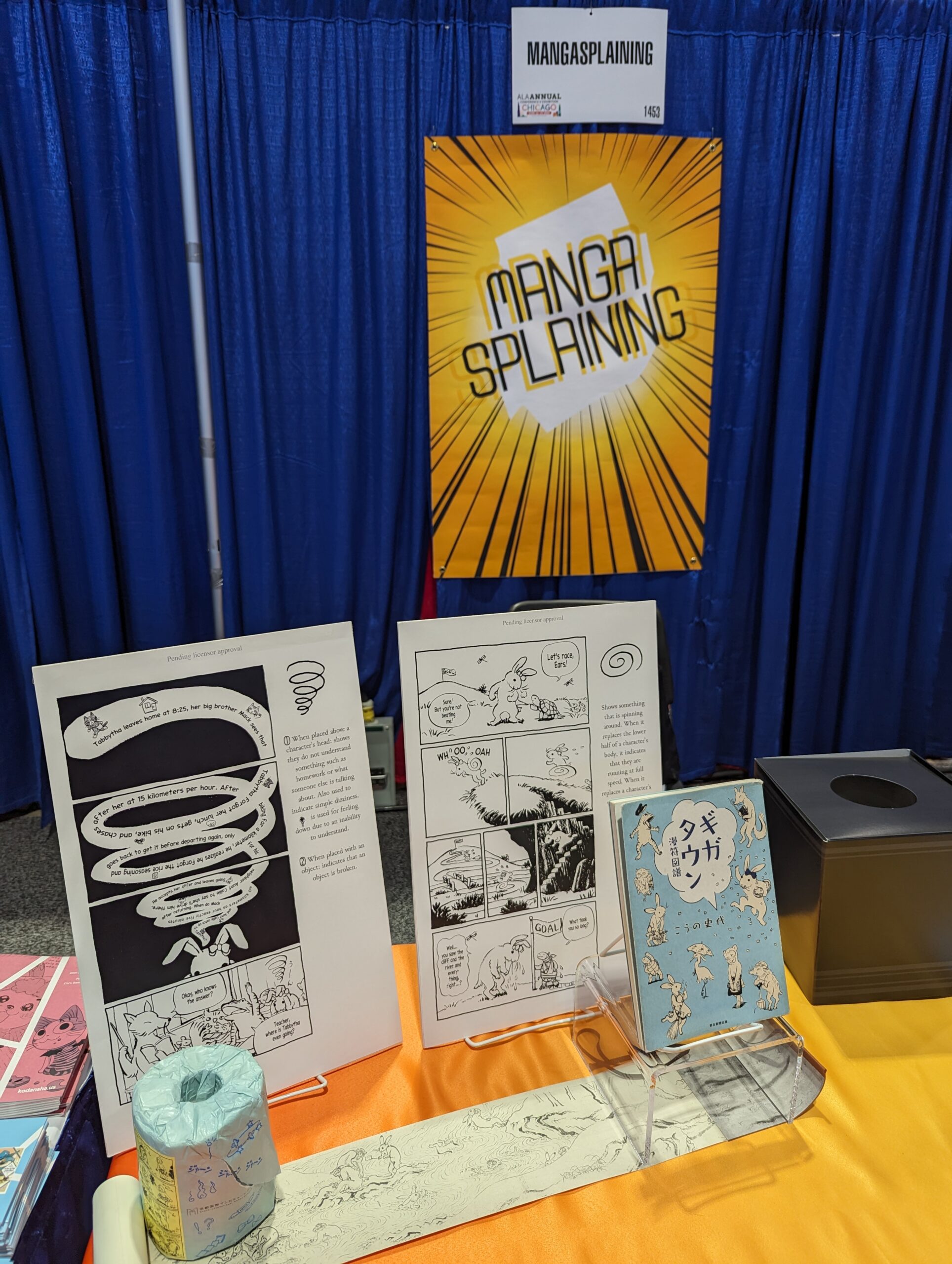 Interview with Robin Brenner, ALA GNCRT President