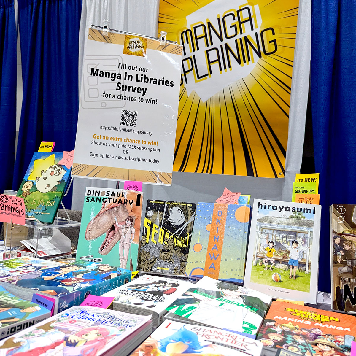 Interview with Robin Brenner, ALA GNCRT President